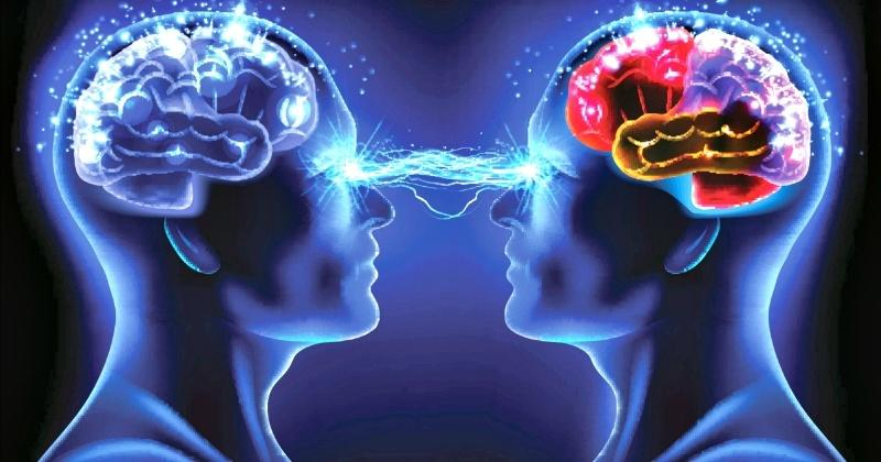 Amazing Telepathic Abilities of Animals and Plants – Crickey Amigu di ...