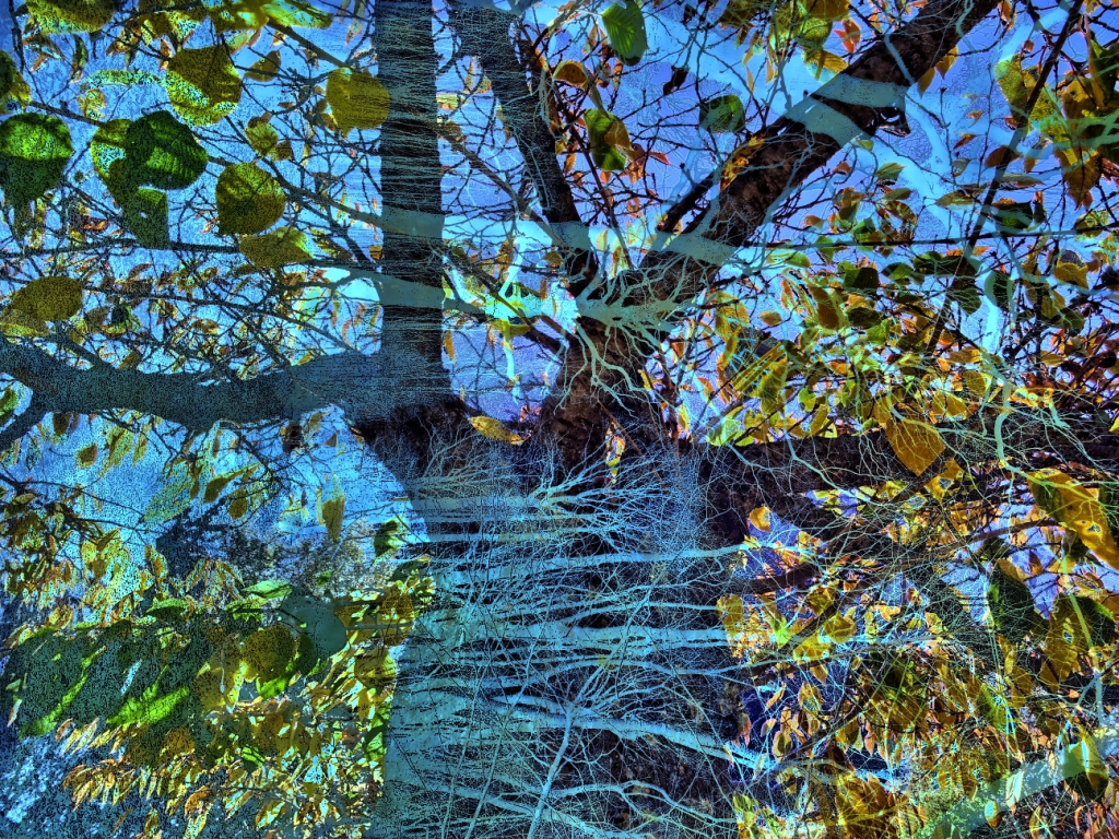 Amazing Telepathic Abilities of Animals and Plants – Crickey Amigu di ...