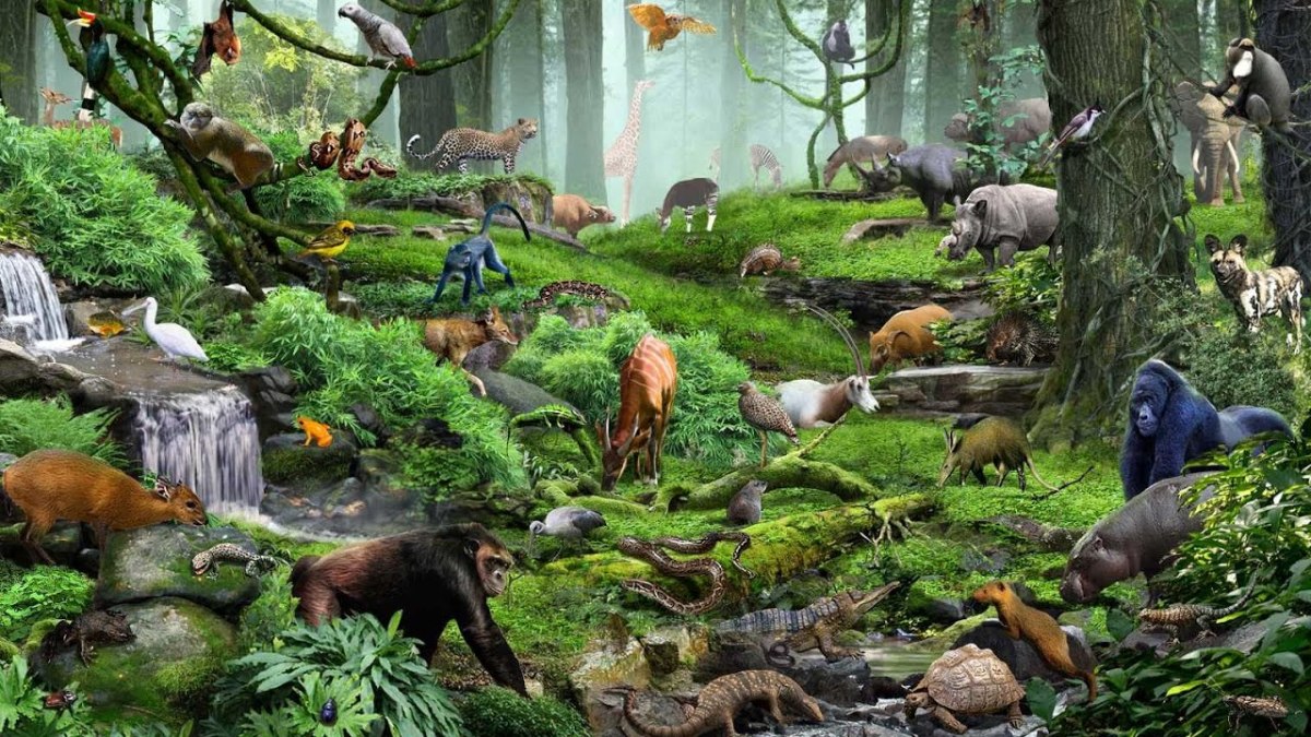 Amazing Telepathic Abilities of Animals and Plants – Crickey Amigu di ...